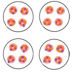 Texas Go Math Grade 3 Lesson 10.1 Answer Key Model Division – Go Math ...