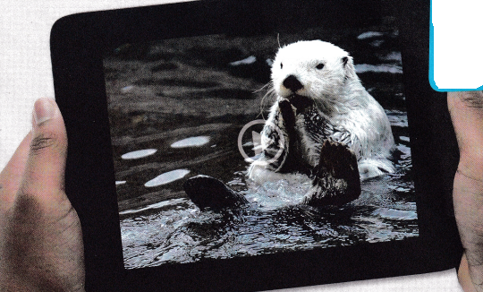 Texas Go Math Grade 8 Module 1 Answer Key Real Numbers – Go Math Answer Key