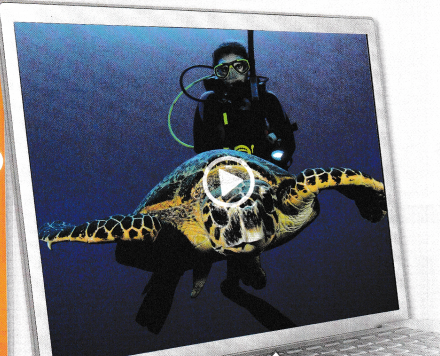 Texas Go Math Grade 8 Module 17 Answer Key 1 – Go Math Answer Key