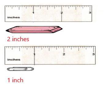 McGraw Hill Math Grade 2 Chapter 8 Lesson 7 Answer Key Measuring to ...