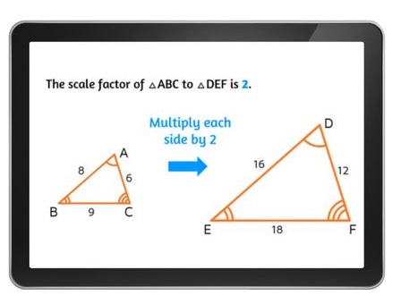 Texas Go Math Grade 7 Module 4 Quiz Answer Key – Go Math Answer Key